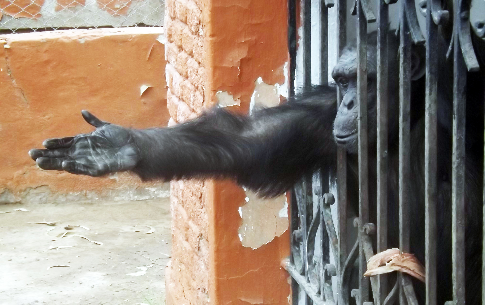 MONTI JAULA - DEPANA. Lliga per a la Defensa del Patrimoni Natural